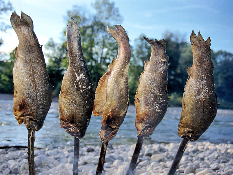 Index of /german/recipes/Fisch